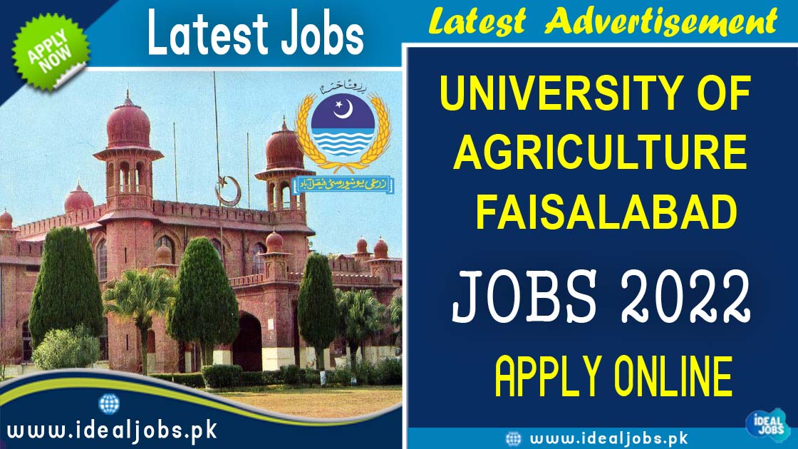 Uaf Faisalabad Logo